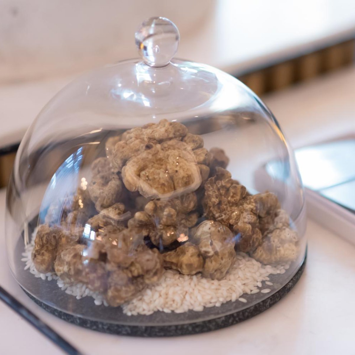 Bangkok Post - Global truffle auction beams in to Bangkok's Four Seasons