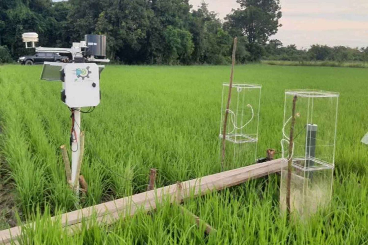 Bangkok Post - Tech to transform rice farming