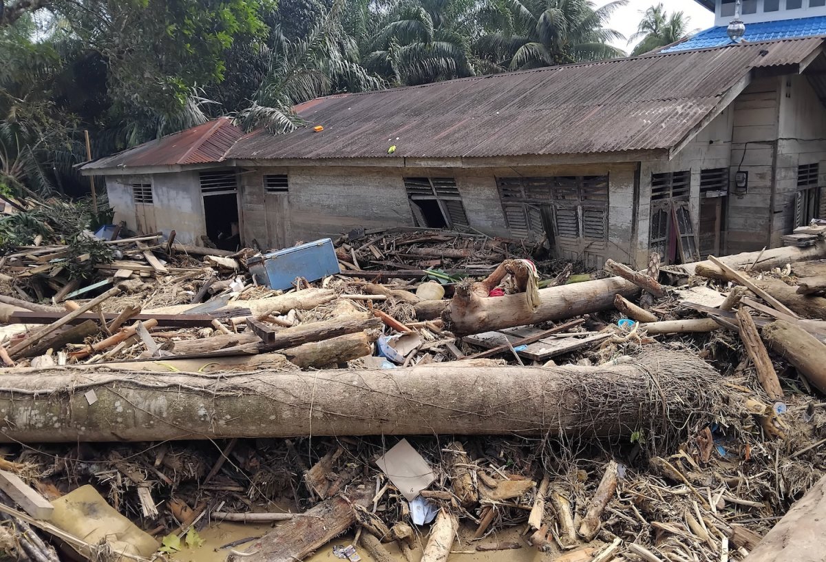Bangkok Post - Indonesians blame deforestation for flood devastation