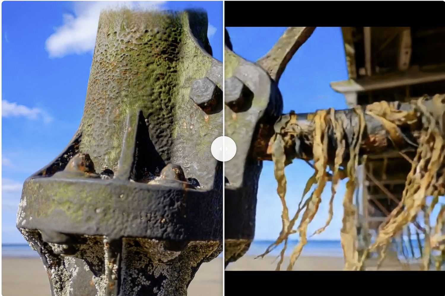 Bangkok Post - Apple unveils open-source model that turns 2D photos into 3D in seconds
