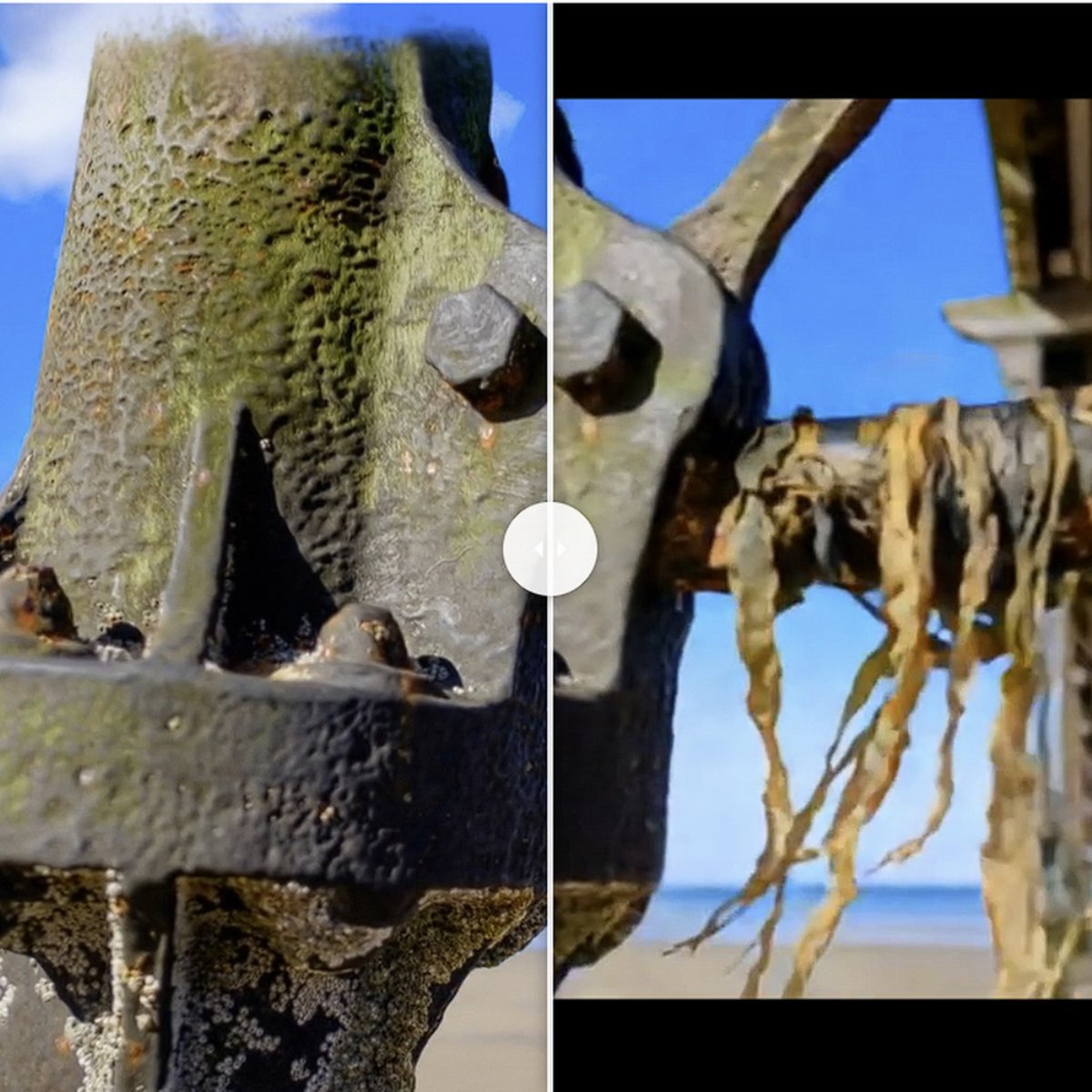 Bangkok Post - Apple unveils open-source model that turns 2D photos ...