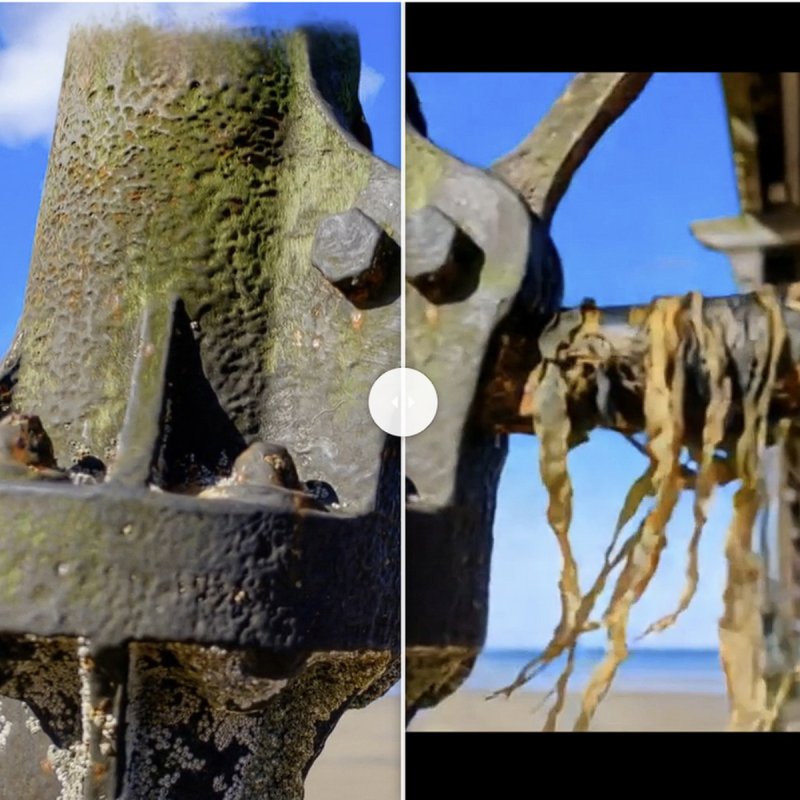 Bangkok Post - Apple unveils open-source model that turns 2D photos ...