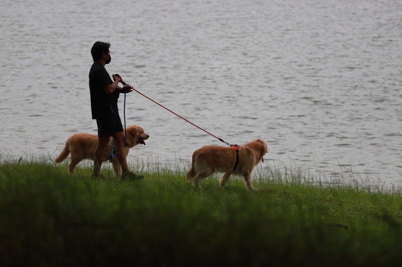 Bangkok Post - City Hall postpones pet control law until next year