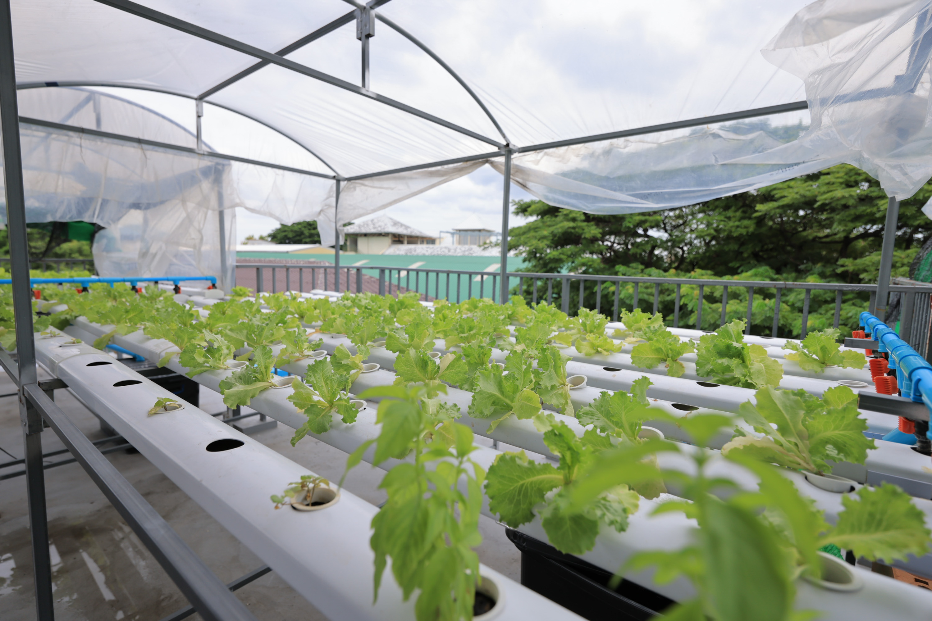 Bangkok Post - Bangkok Community Help Foundation launches first NGO ...