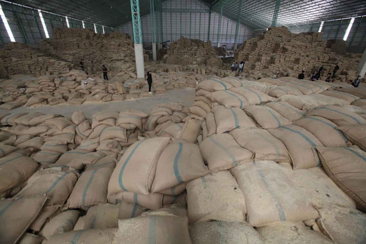 Bangkok Post - Rice stockpiling under scrutiny