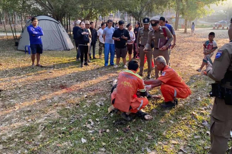 Bangkok Post - Elephant kills tourist at Khao Yai campground