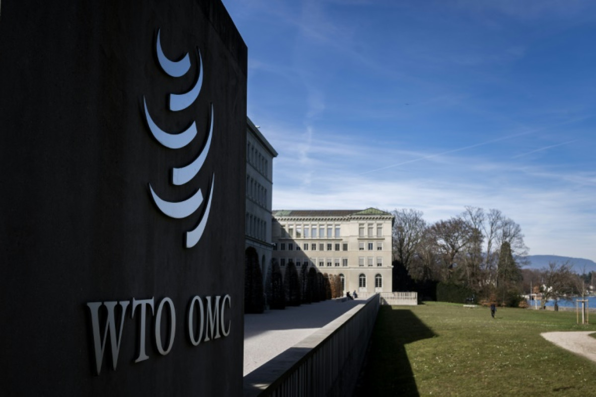 Bangkok Post - WTO must 'reform or die': talks facilitator