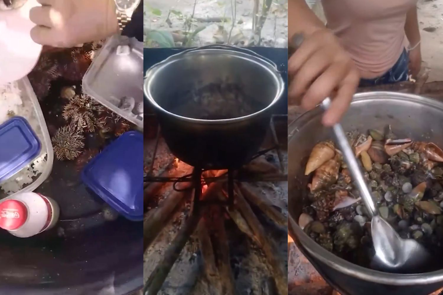 Bangkok Post - Filipino food influencer dies after eating ‘devil crab’