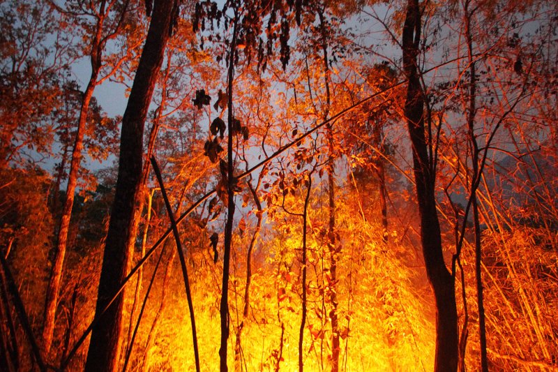 Bangkok Post - Lamphun rushes to contain wildfires