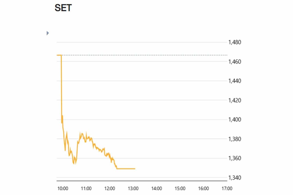 Bangkok Post - Thai stock market recovers after trading halt