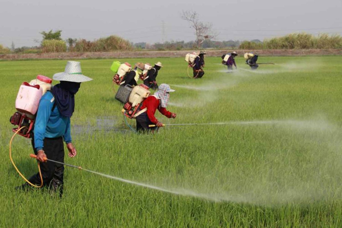 Bangkok Post - Fertiliser prices rise amid Middle East tensions