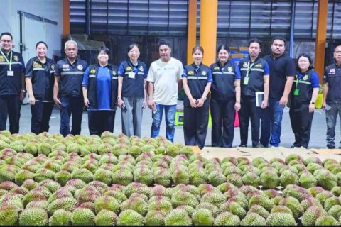 Bangkok Post - Govt steps up durian checks