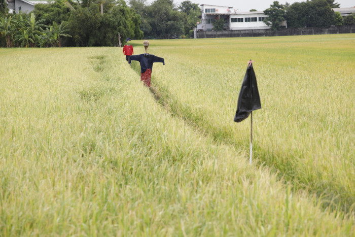 Bangkok Post - Farmers question water plan