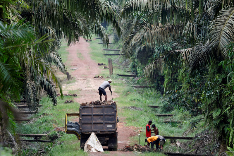 Bangkok Post - Indonesia braces for rising forest fire risks from dry ...