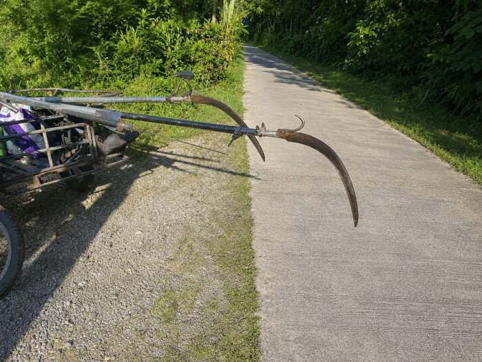 Bangkok Post - Student dies in freak accident, palm sickle slashes his ...