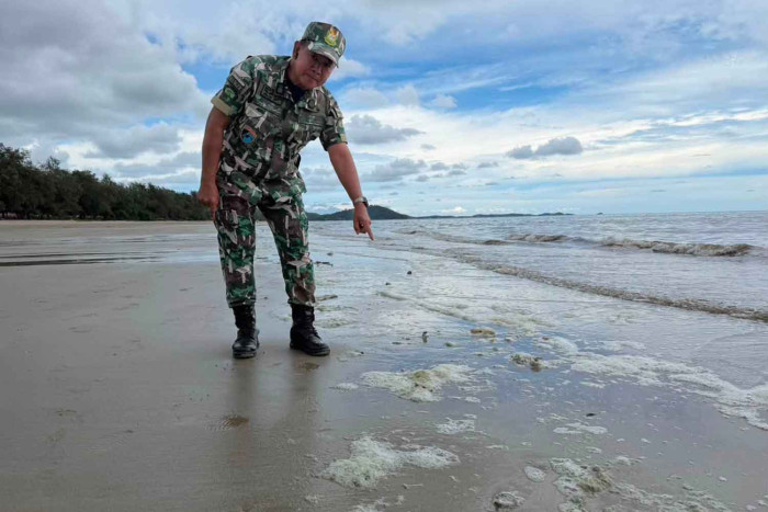 Bangkok Post - Algae bloom turned seawater dark green