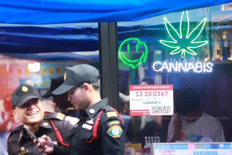 Penalty guidelines set for cannabis business offences Bangkok Post ...