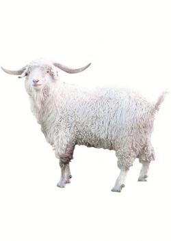 Bangkok Post - Creature comforts at Seacon Square