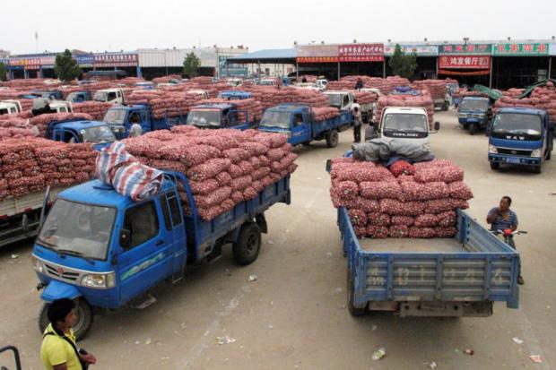 Bangkok Post - Some Chinese investors switch from stocks to garlic