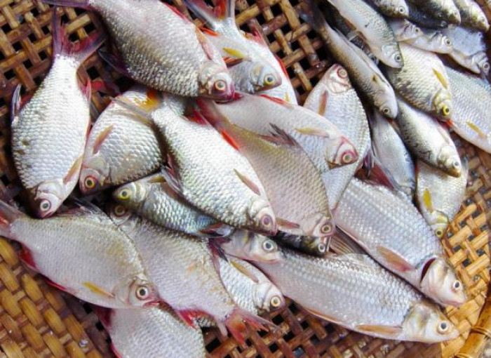 Bangkok Post - Beware short, sharp shocks