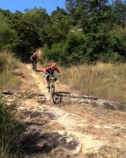 Bangkok Post - The evolution of a track