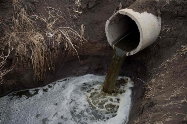 Bangkok Post - China's giant cow farms befoul environment