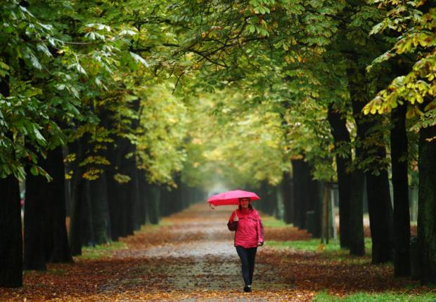 Bangkok Post - Trees save megacities millions -- research