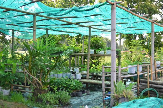 Bangkok Post - Herbal health farm just the tonic