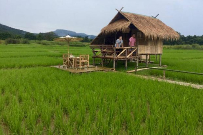 Bangkok Post - Army opens up rice field to visitors