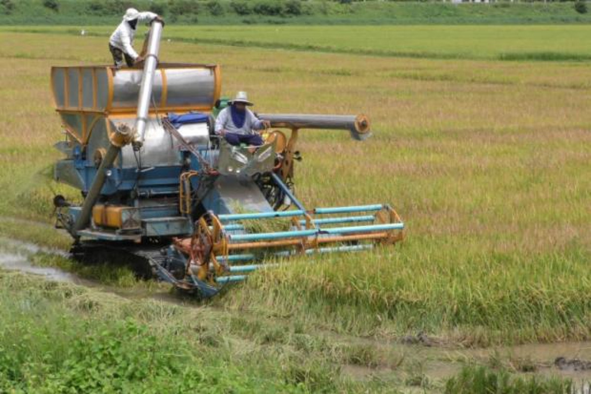 Bangkok Post - FTI plans farm support model