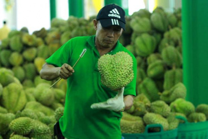 Bangkok Post - Spiking sales for the king of fruits