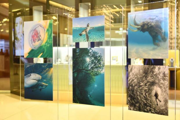 Bangkok Post - World Ocean Day: photography exhibition launched