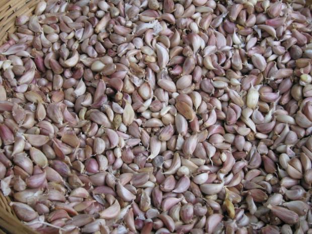 Bangkok Post - A pungent debate