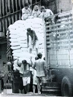 Bangkok Post - A brief history of rice farming