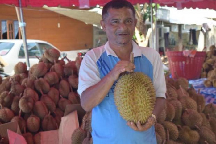 Bangkok Post - Yala's durians are catching up