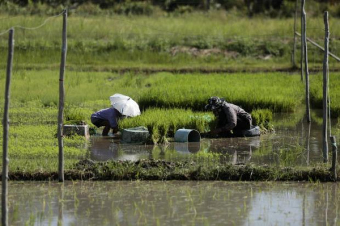 Bangkok Post - King Rama IX's water legacy lives on