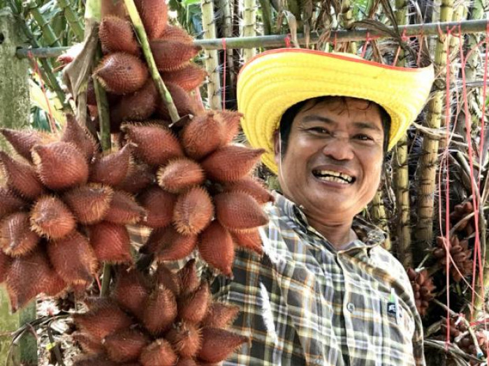 Bangkok Post - The salak king of Thailand
