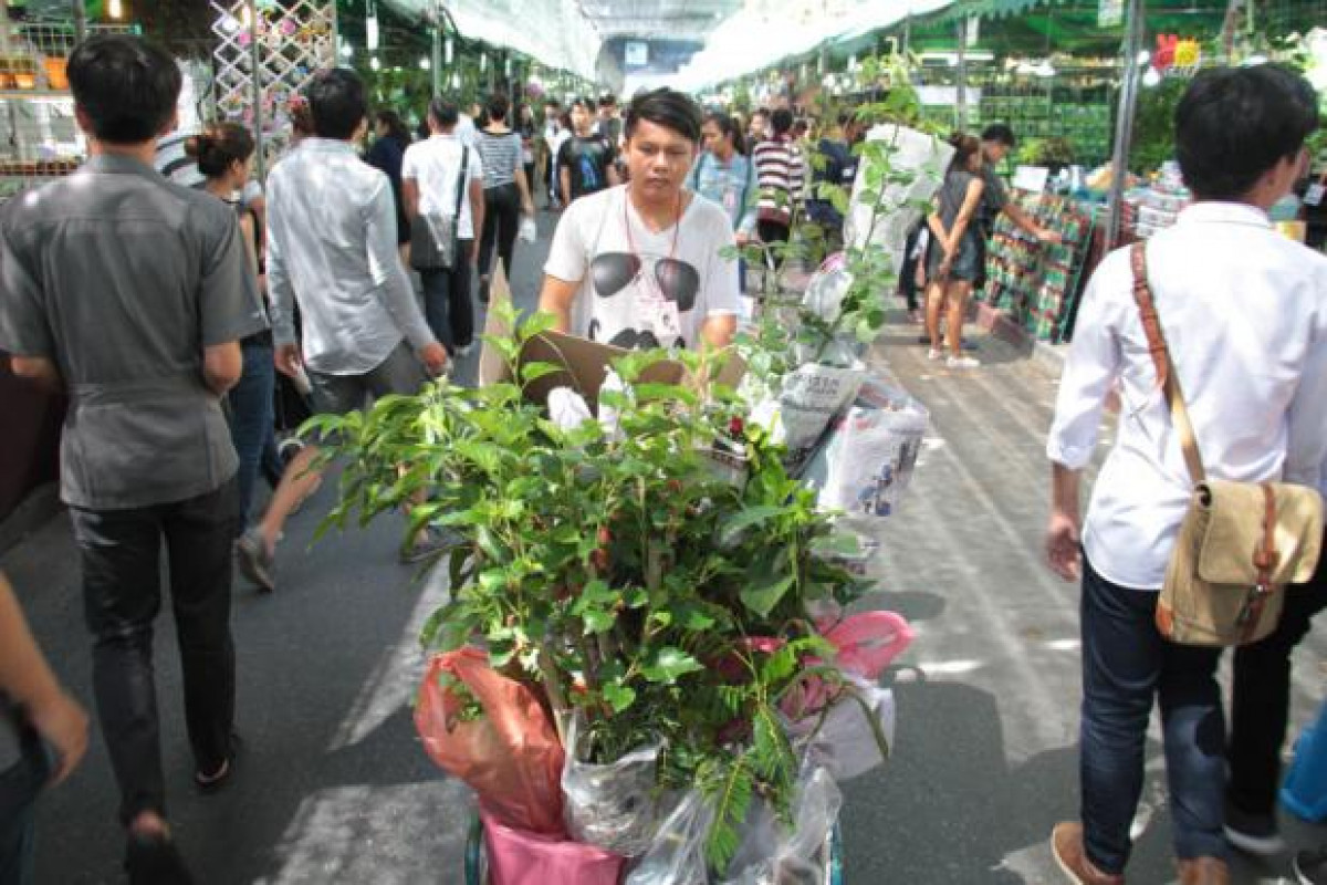 Bangkok Post - Kaset fair focuses on farming