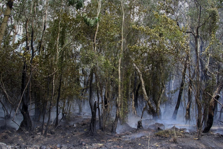 Bangkok Post - Swamp fire bogs down firefighters
