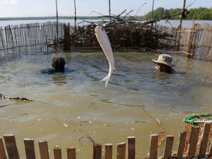 Bangkok Post - Ancient fish trap
