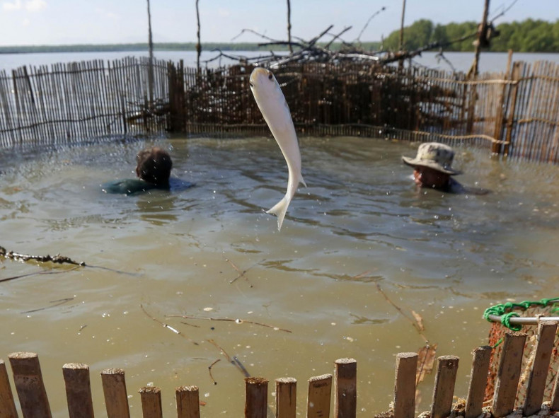 Bangkok Post - Ancient fish trap