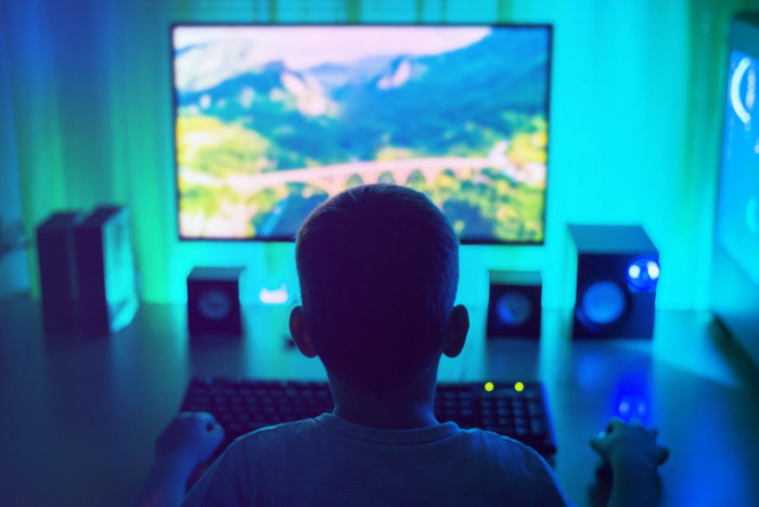 Bangkok Post - The sad world of online gaming