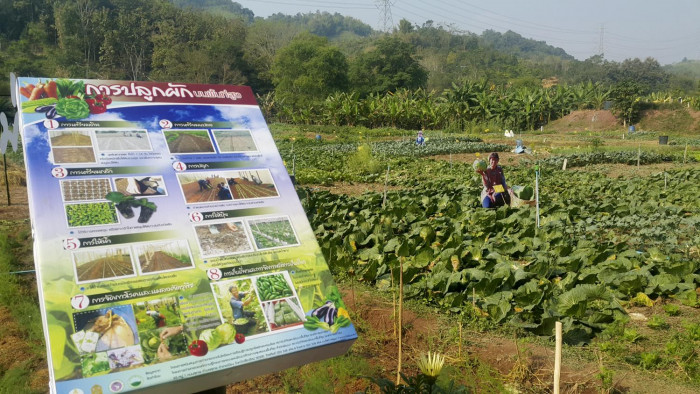 Bangkok Post - Farm community becomes healthy, wealthy and wise the ...