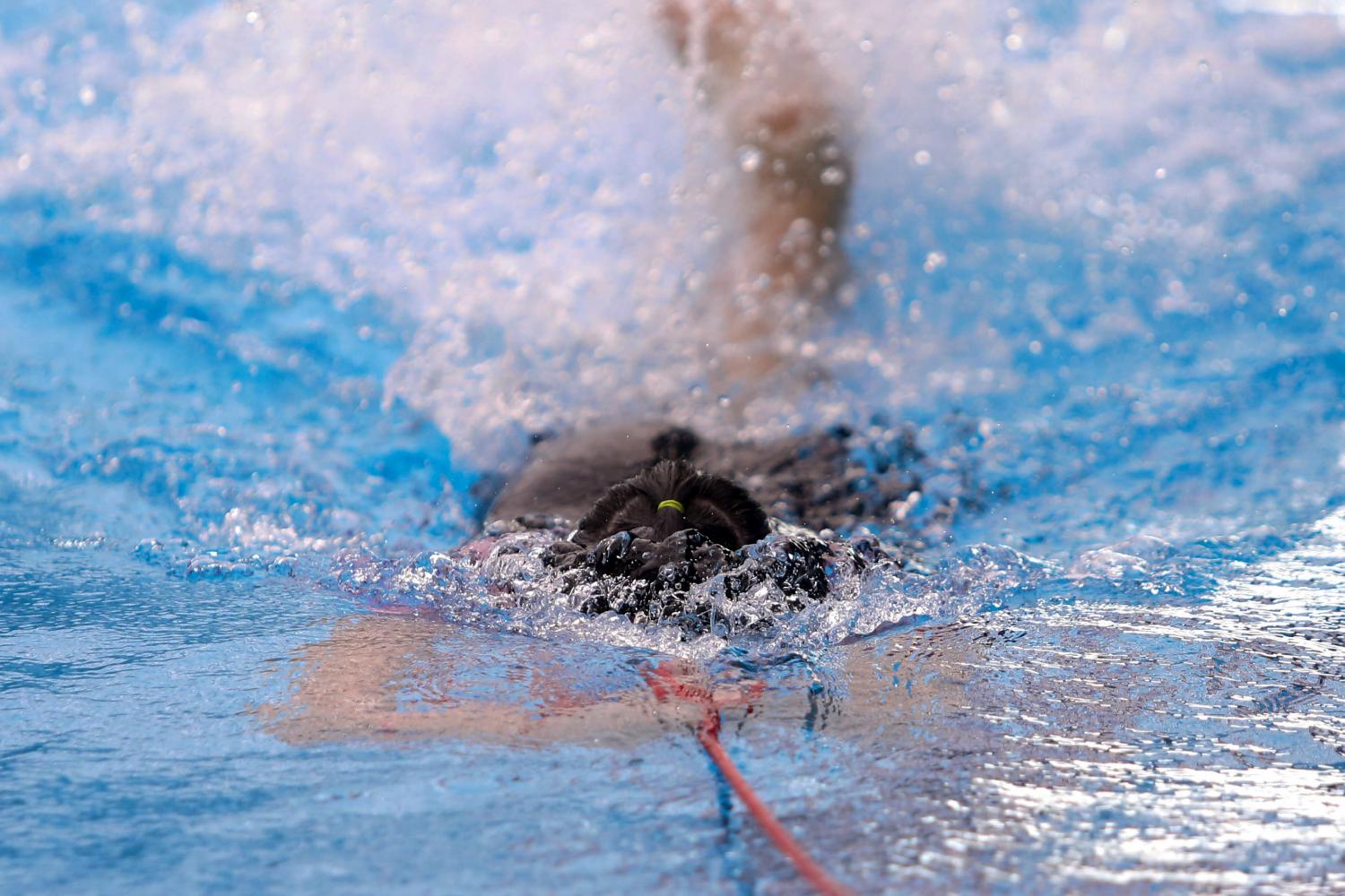 Bangkok Post - Learning the ropes