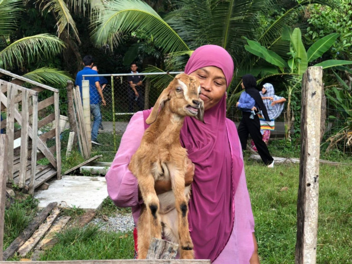 Bangkok Post - Farmers ditch rubber for goats