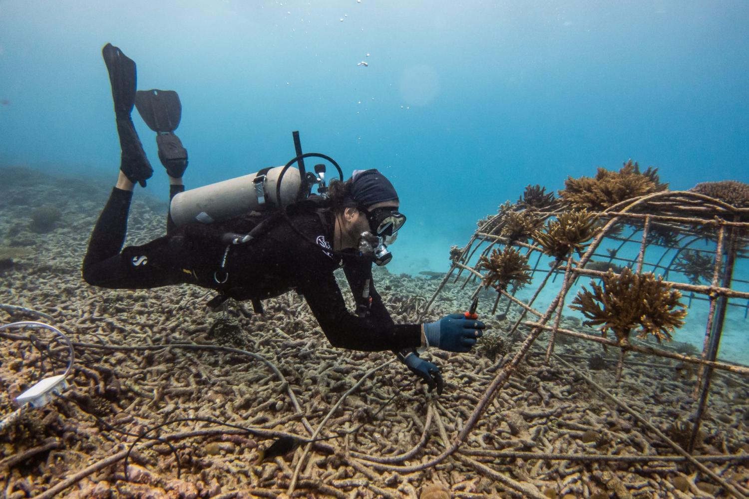 Bangkok Post - An enduring commitment to oceanic preservation