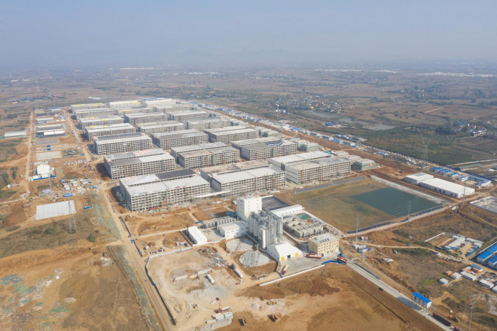 Bangkok Post - World's largest pig farm rises in China