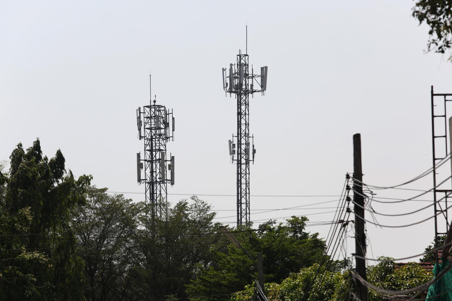 Bangkok Post - Leaving the nest