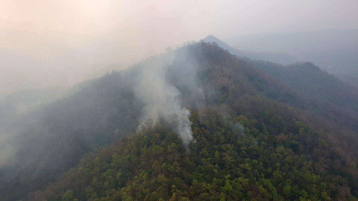 Bangkok Post - Forest blaze 'under control'