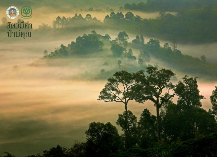 Bangkok Post - Seeing the value in nature